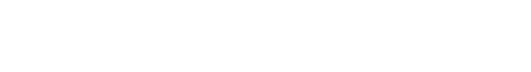 RapidScale 2023 End of Year Party